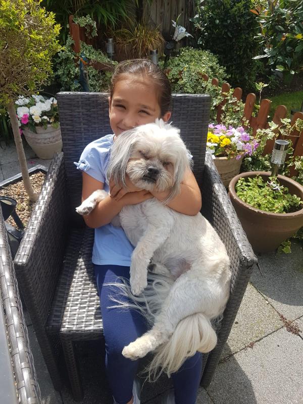 Homemade Hair Conditioner for Dogs - Itchy or Dry Skin