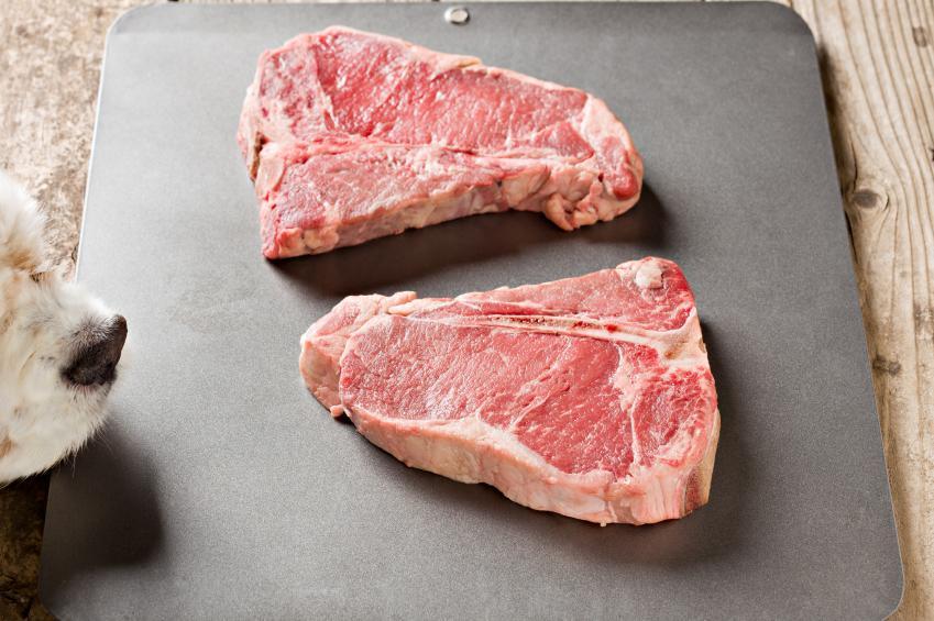 What is the BARF Diet for Dogs? Tips and Example Menu