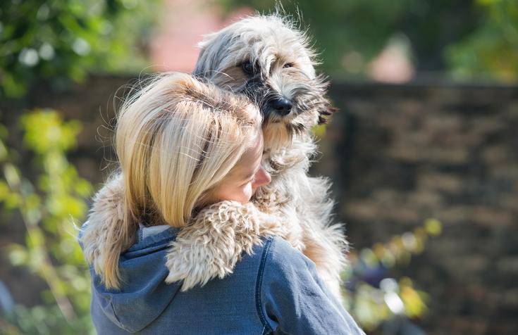 What Do Dogs Need To Be Happy And Healthy? - Satisfy Their Needs!