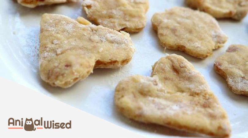 4 Easy Cat Cookies Recipes