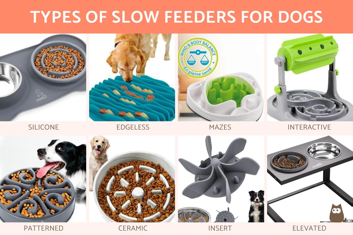 Benefits of Slow Feeders for Dogs - Best Feeder Dog Bowls for You