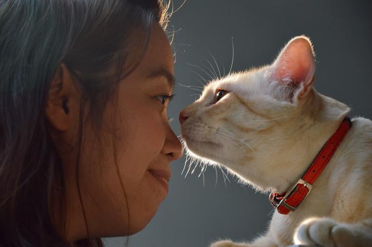 why do cats headbutt you? - FIND OUT HERE!