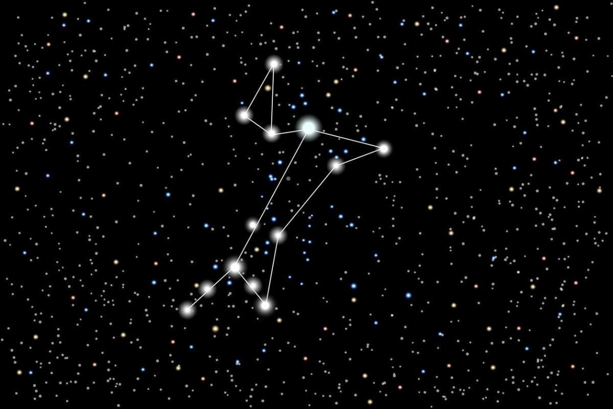 60+ Star Names for Dogs - Space Inspired Dog Names