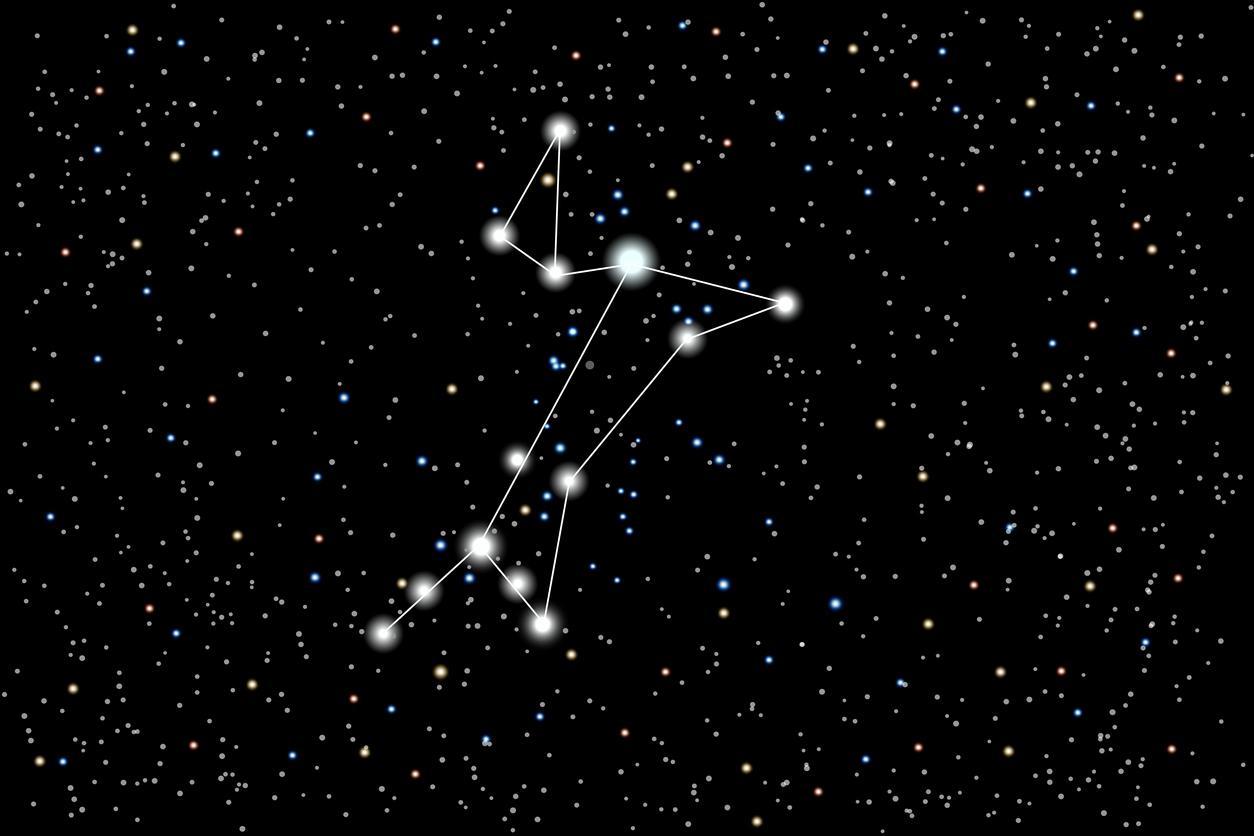 60+ Star Names for Dogs - Space Inspired Dog Names