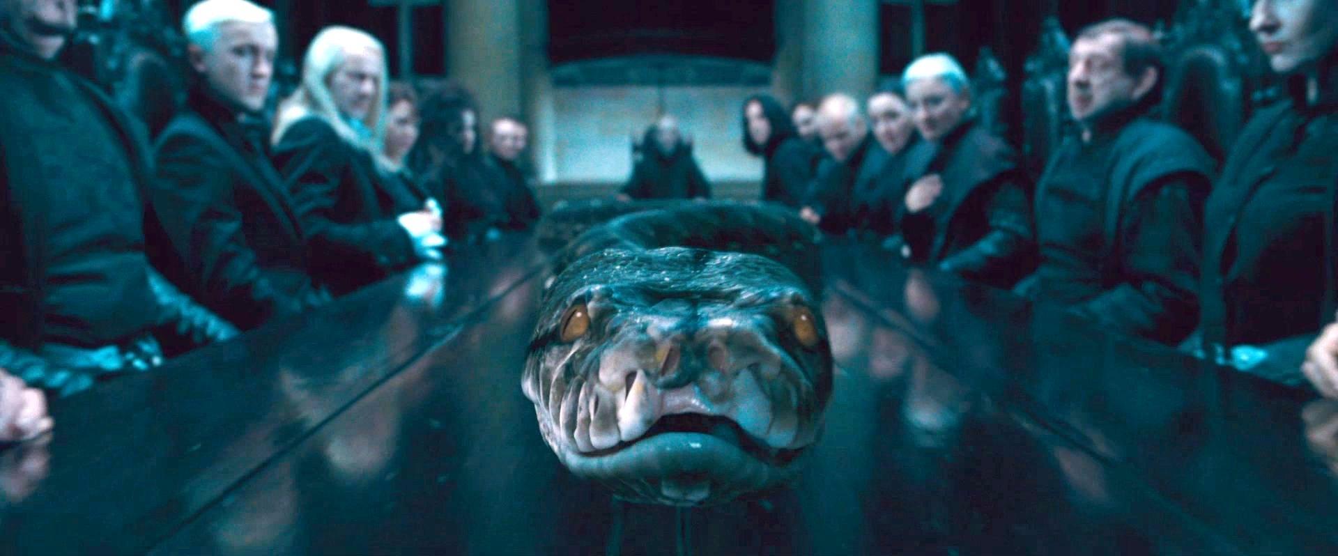 Top 10 Animals in Harry Potter 🐉 - List of Harry Potter Magical Creatures