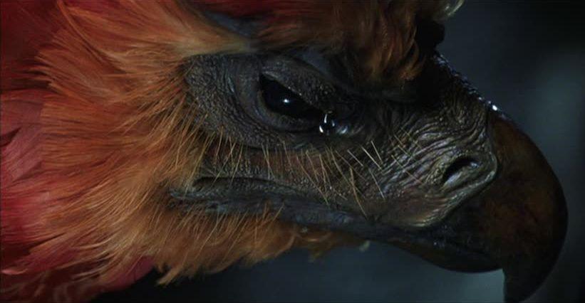 Top 10 Animals in Harry Potter 🐉 - List of Harry Potter Magical Creatures