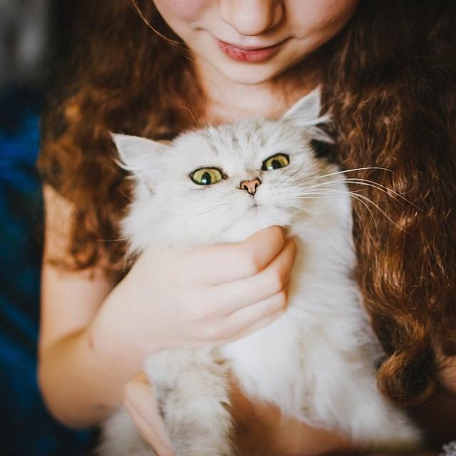 Tips to Make your Cat's Coat Shiny