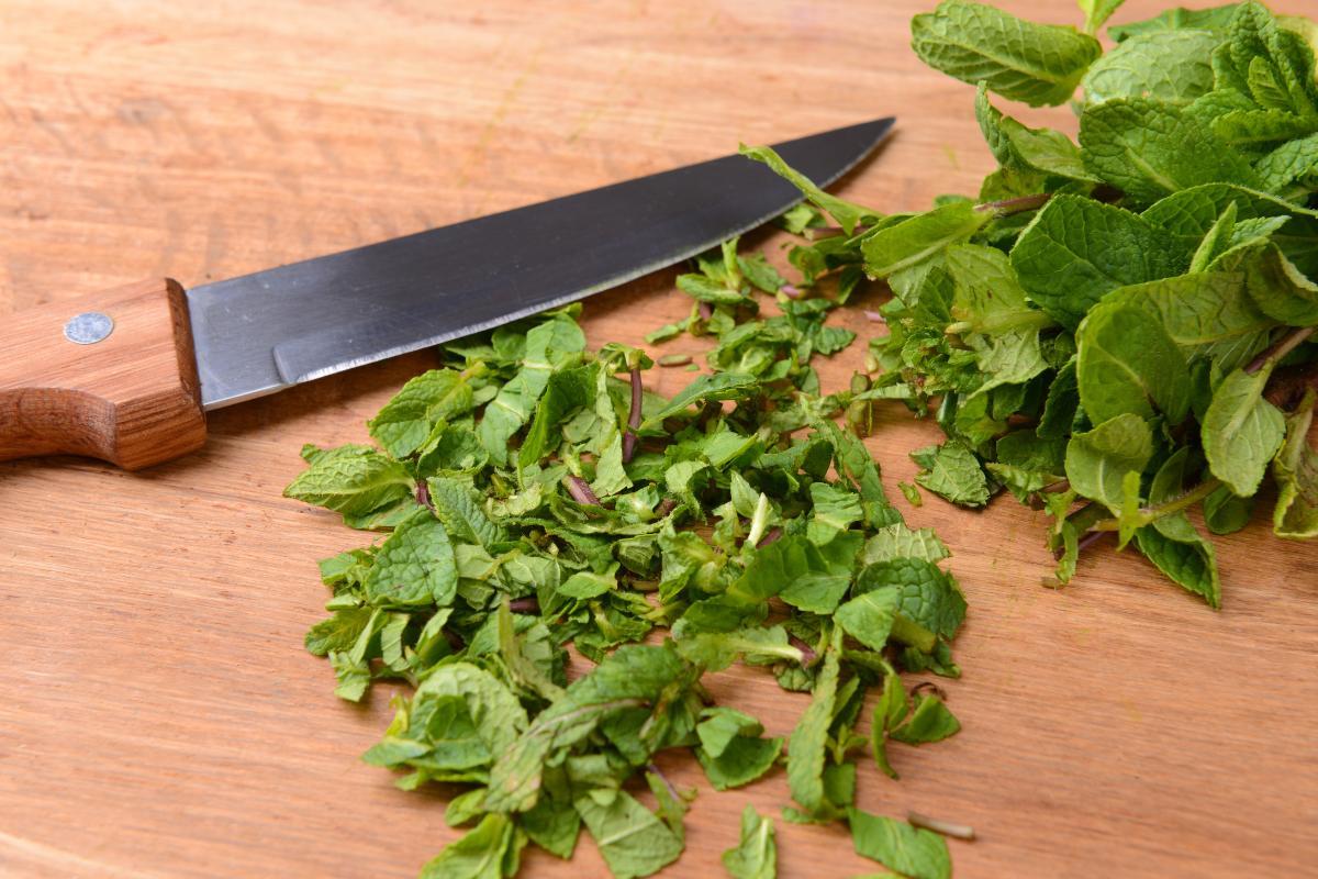 Can Dogs Eat Mint Leaves? - Types of Mint for Dogs
