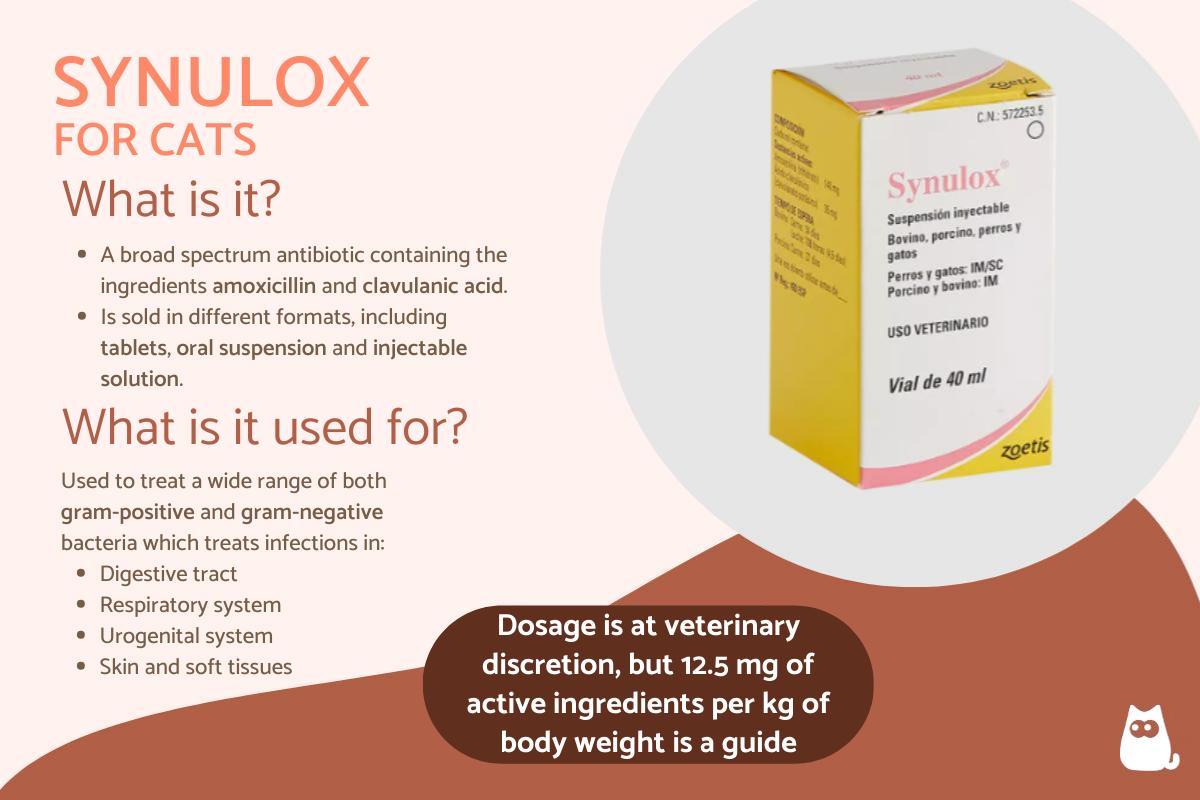 Synulox for Cats - Dosage, Uses and Side Effects