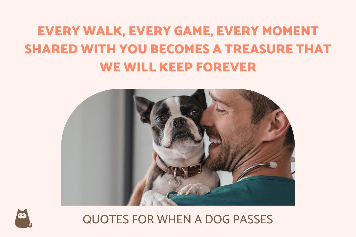 40 Dog Death Quotes for a Dog Passing - Rainbow Bridge Quotes