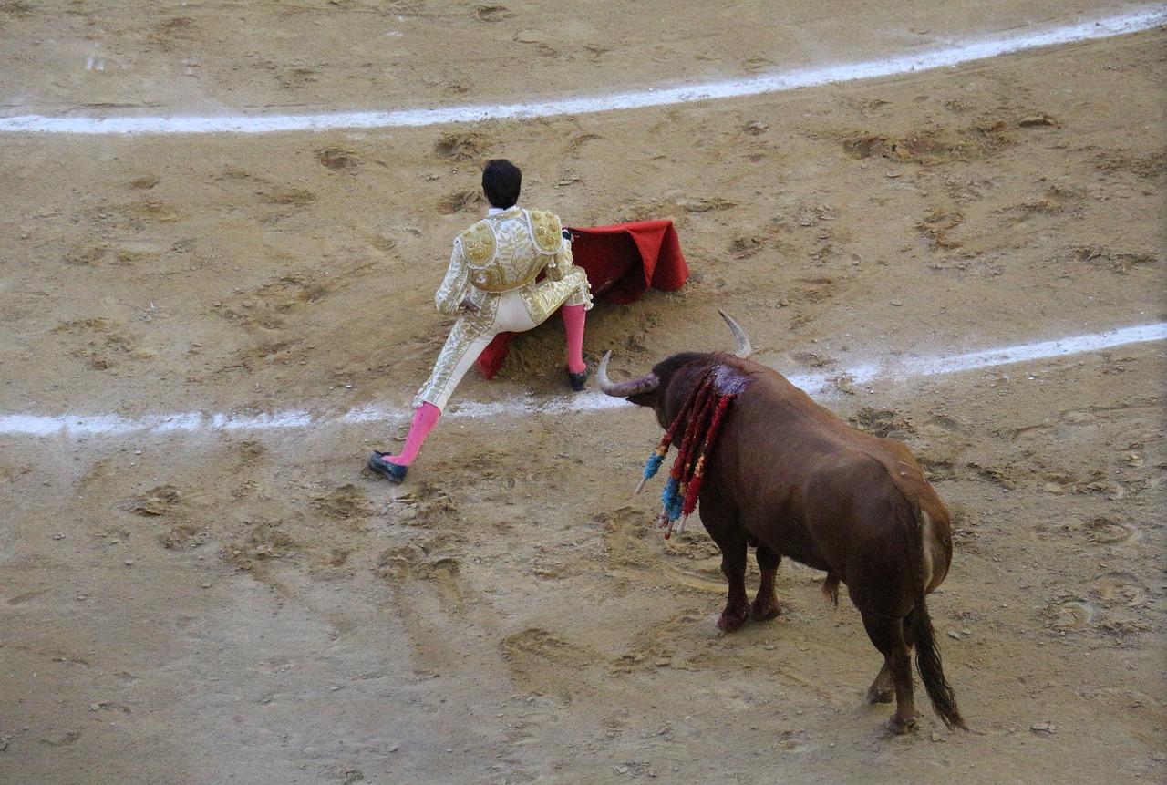 Why Do Bulls Attack the Color Red? - Bulls Hate Red Myth