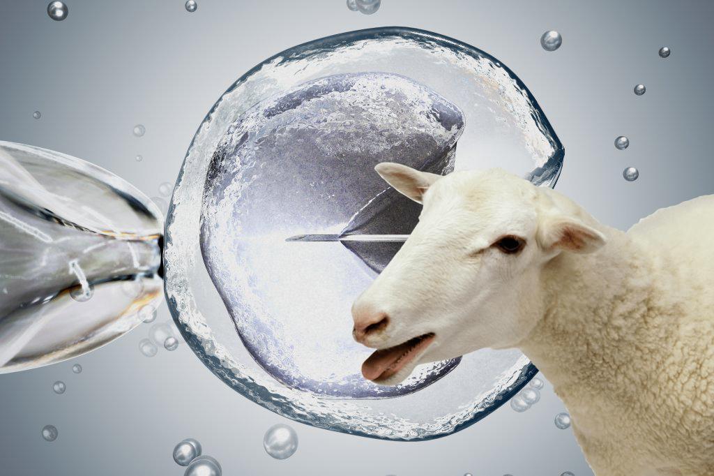 What Are Transgenic Animals? - Definition, Examples and Characteristics