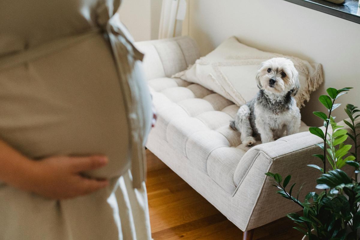 Can Dogs Predict Labor? - What Science Says About Canine Instincts
