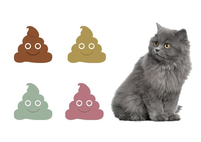 Is My Cat’s Poop Normal? - Abnormal Cat Poop Chart With Pictures