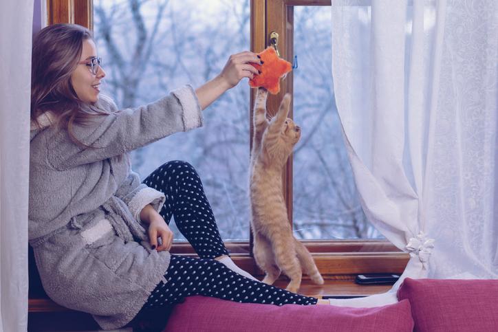 Understanding Cat Behavior - A Complete Guide