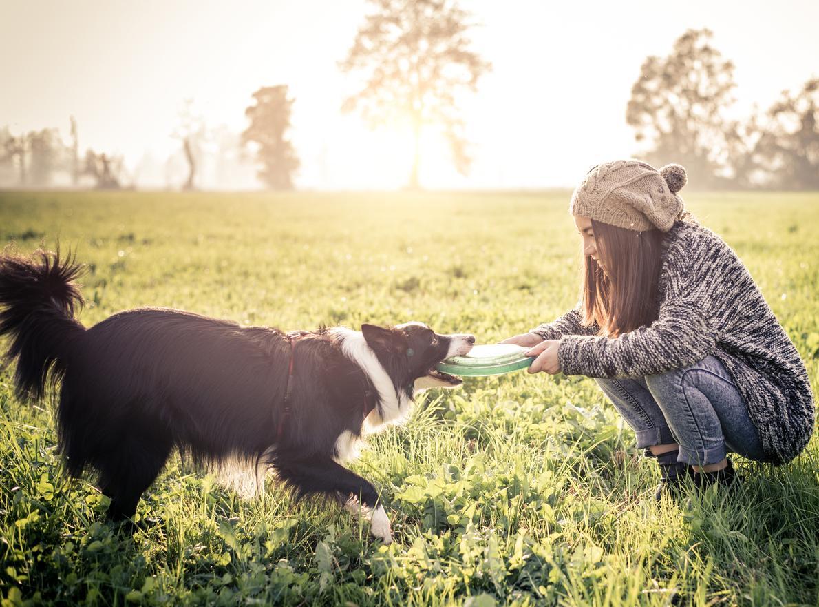 Why Does My Dog Eat Rocks? - Causes & What To Do - Pica Syndrome