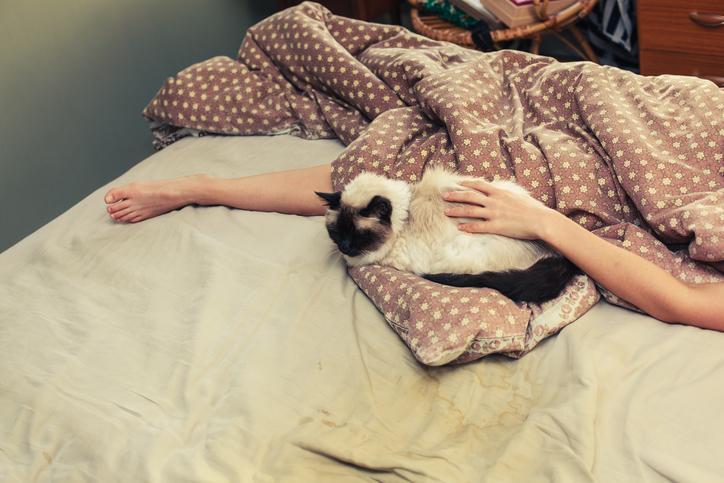 11 Sounds That Cats Make and Their Meanings - Different Cat Noises