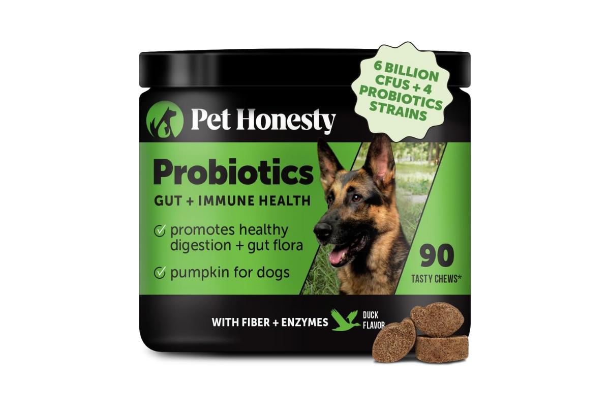 The Best Probiotic Supplements for Dogs in 2025: A Comprehensive Comparison