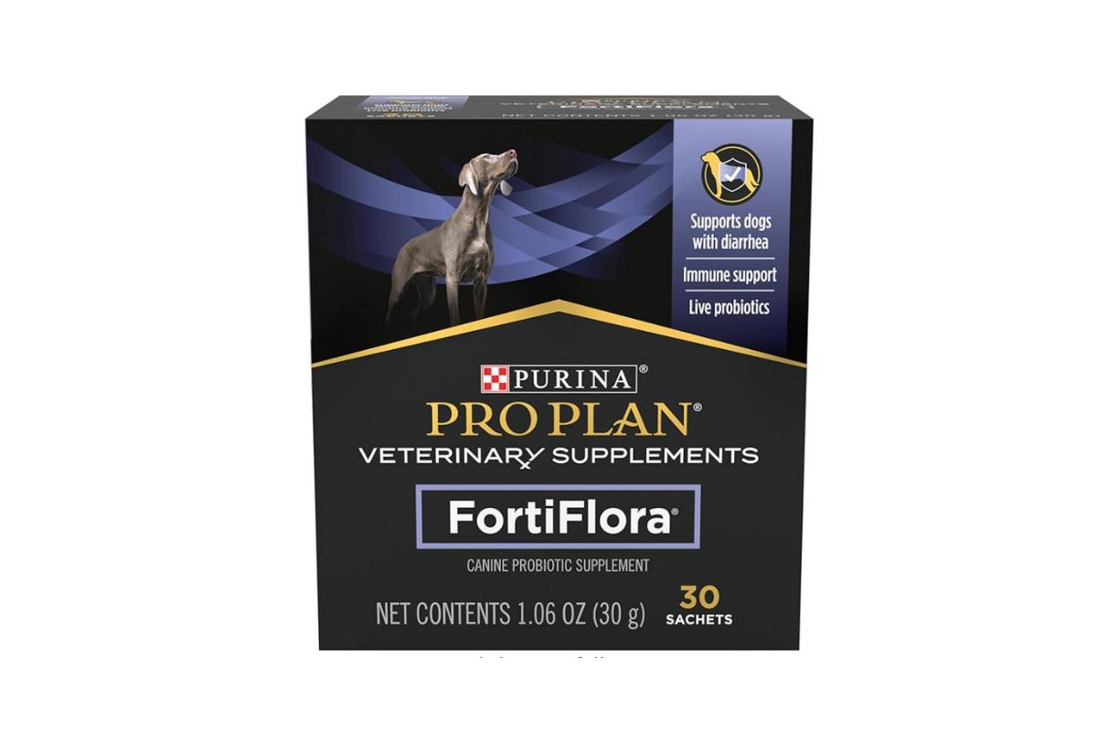 The Best Probiotic Supplements for Dogs in 2025: A Comprehensive Comparison