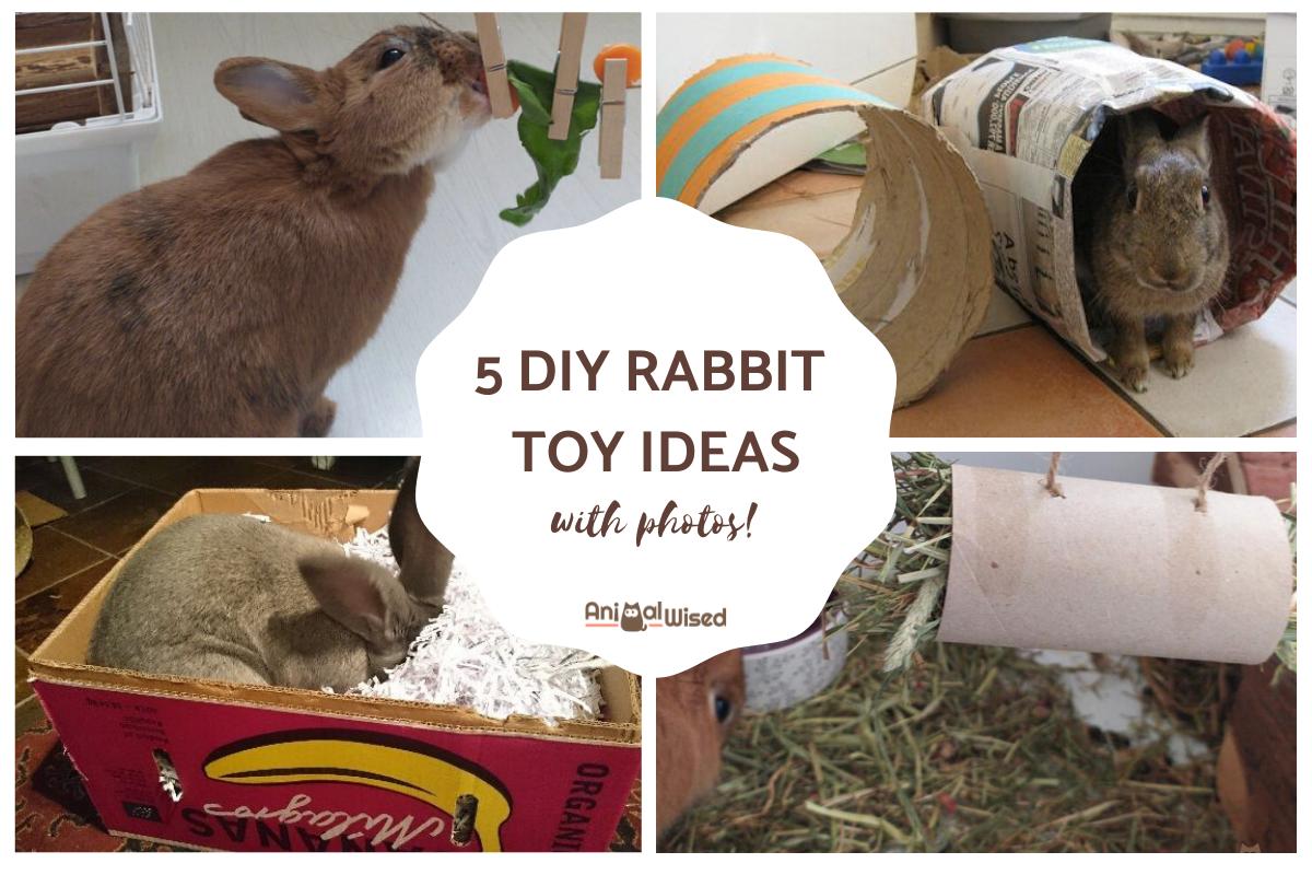5 DIY Rabbit Toy Ideas - Easy Guide With Photos!