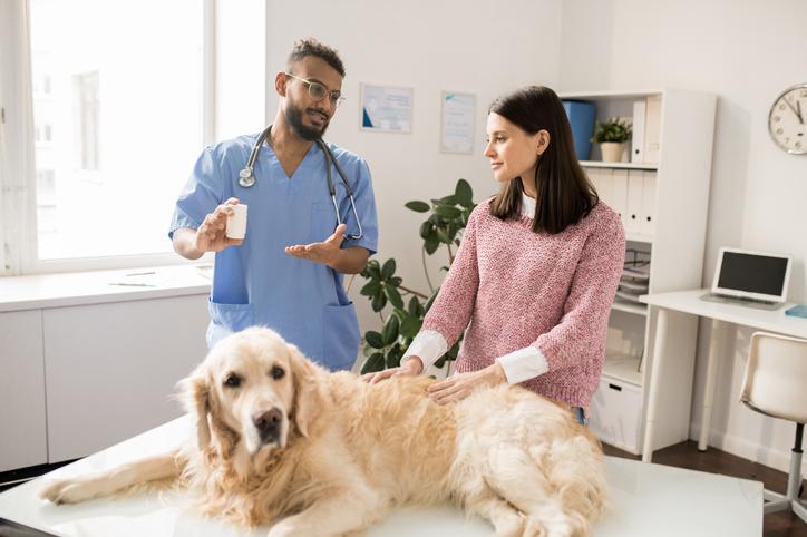 Metronidazole for Dogs - Dosage, Uses and Side Effects With Dose Chart