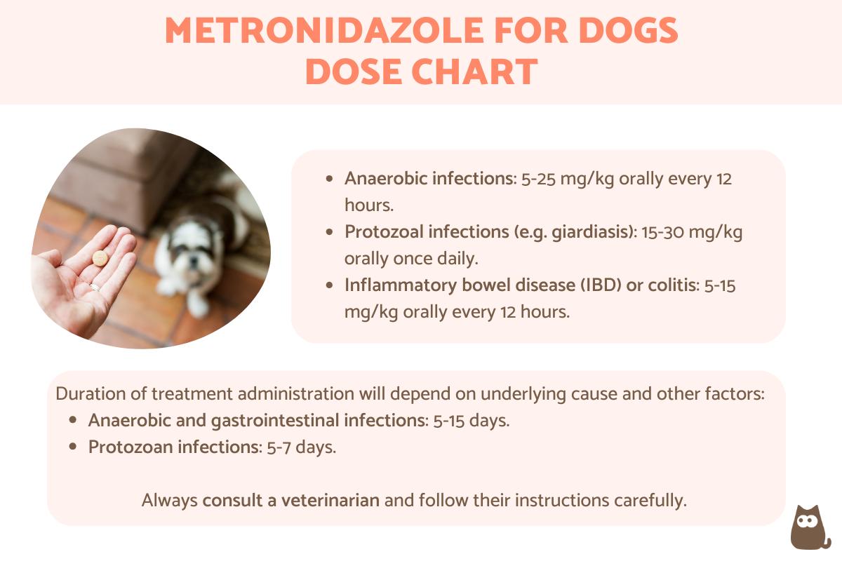 Metronidazole for Dogs - Dosage, Uses and Side Effects With Dose Chart Metronidazole for Dogs - Dosage, Uses and Side Effects With Dose Chart