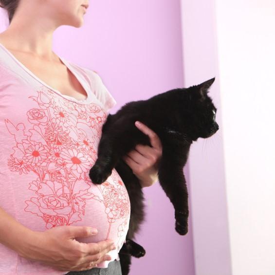 Toxoplasmosis in Cats - Symptoms, Infection and Treatment