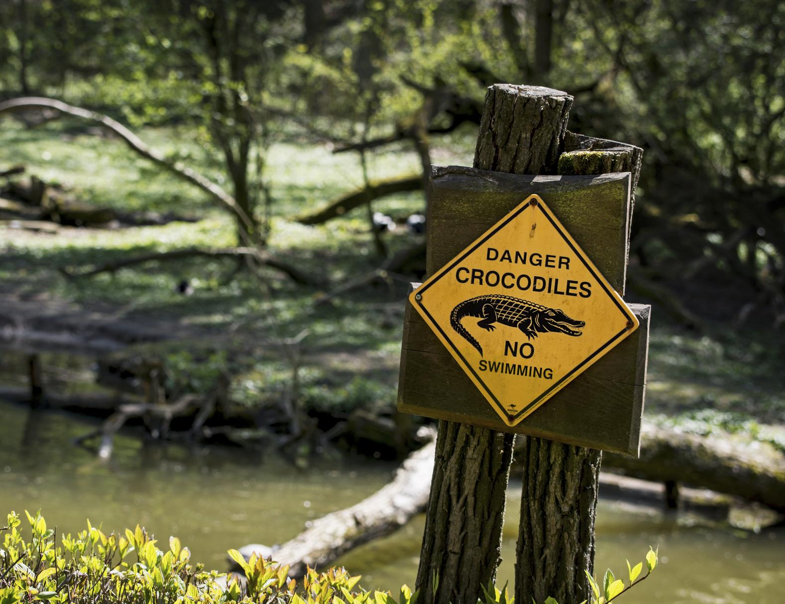 The Most Dangerous Animals in Australia