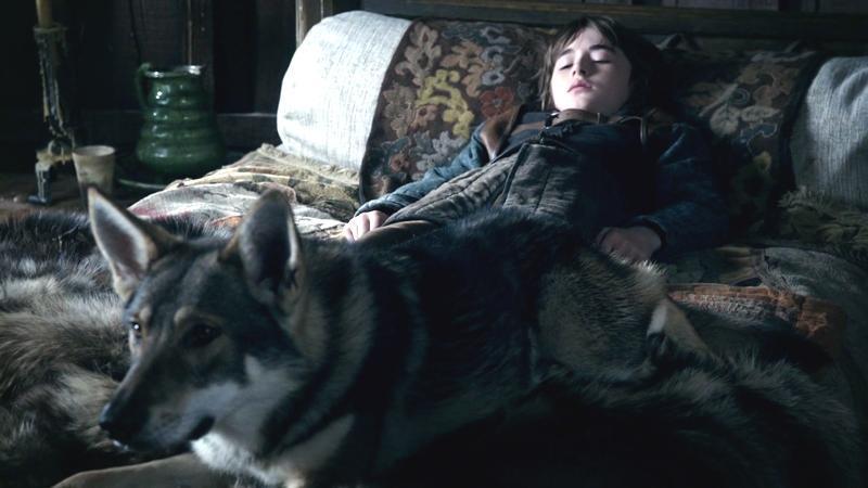 All About the Wolves in Game of Thrones