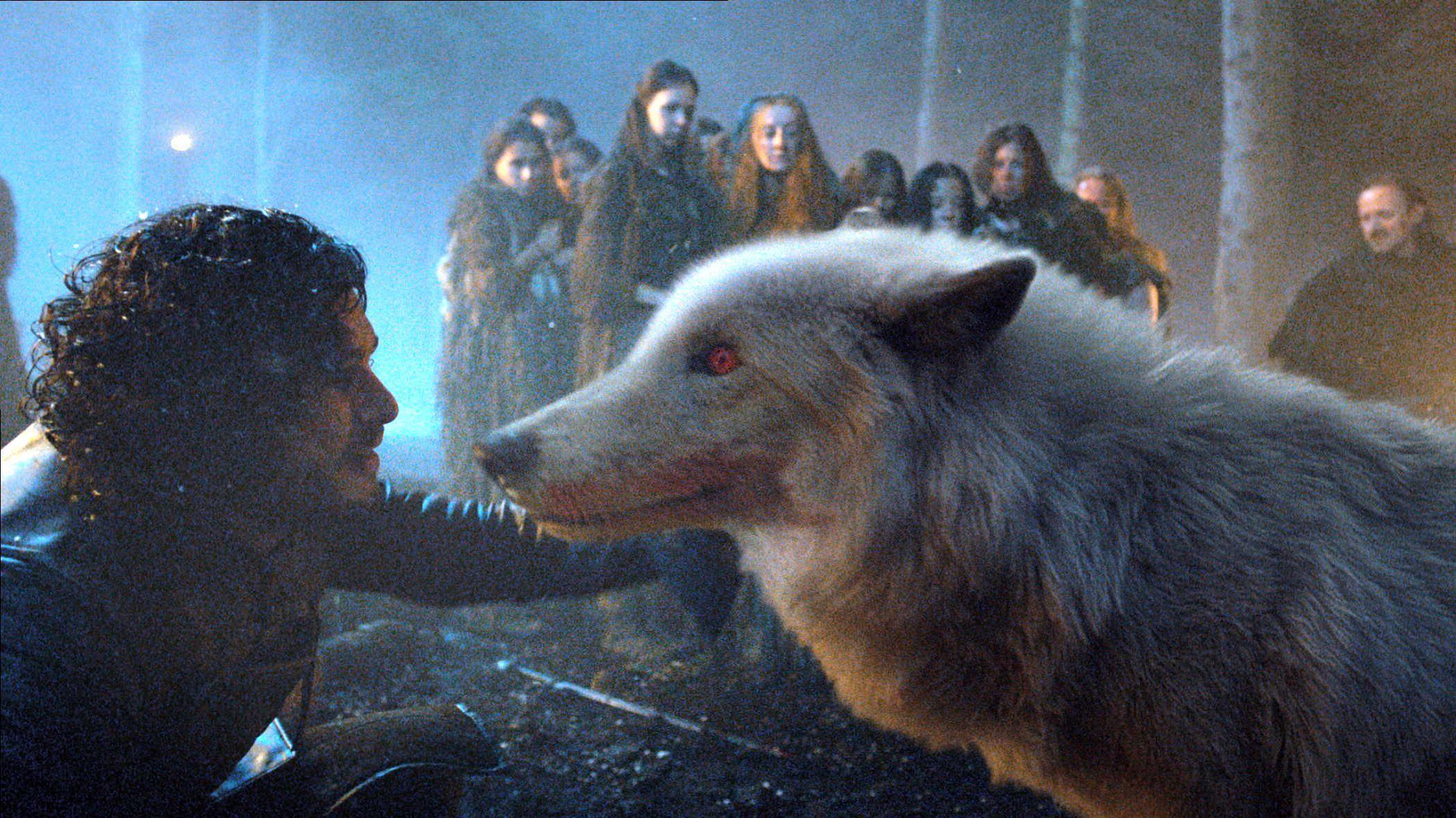 All About the Wolves in Game of Thrones