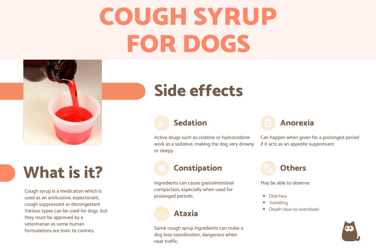 Cough Syrup for Dogs - Uses, Dosage and Side Effects
