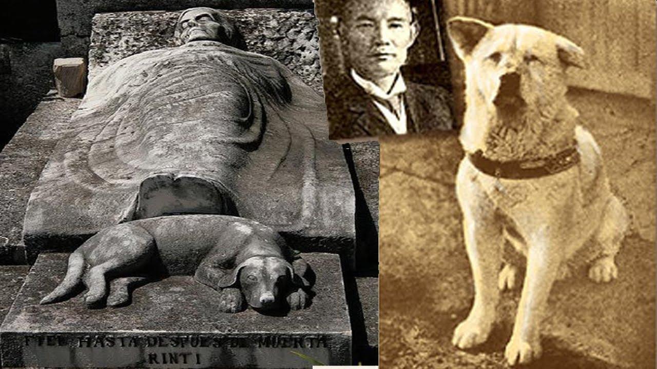 The True Story of Hachiko - The Faithful Dog