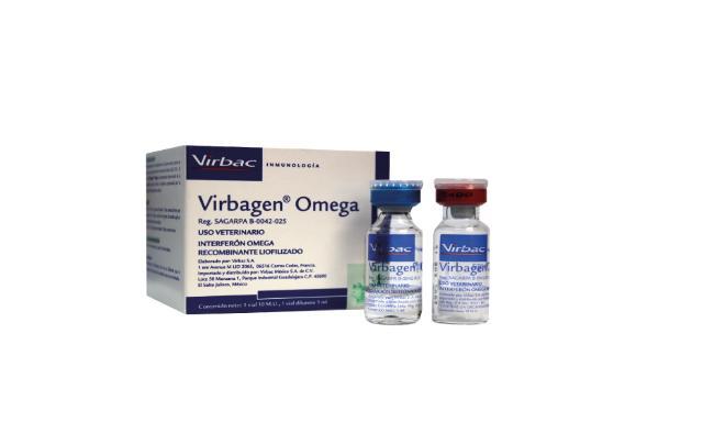 Interferon for Cats - Oral, Eye Drop and Injection