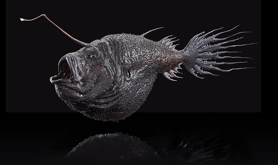 What Are Abyssal Fish? - Characteristics, Examples and Photos!