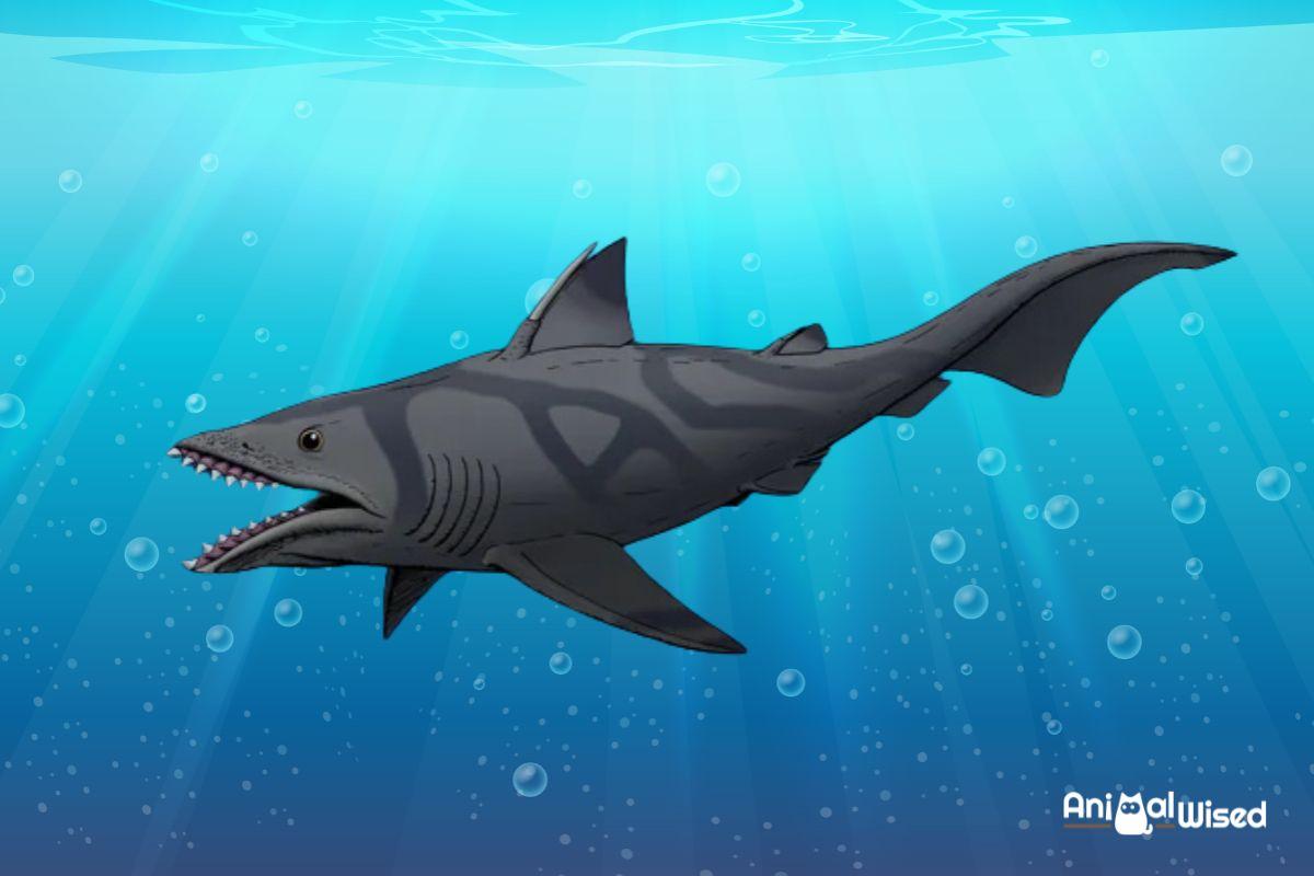 5 Extinct Prehistoric Sharks - What Terrifying Giants Ruled the Seas?