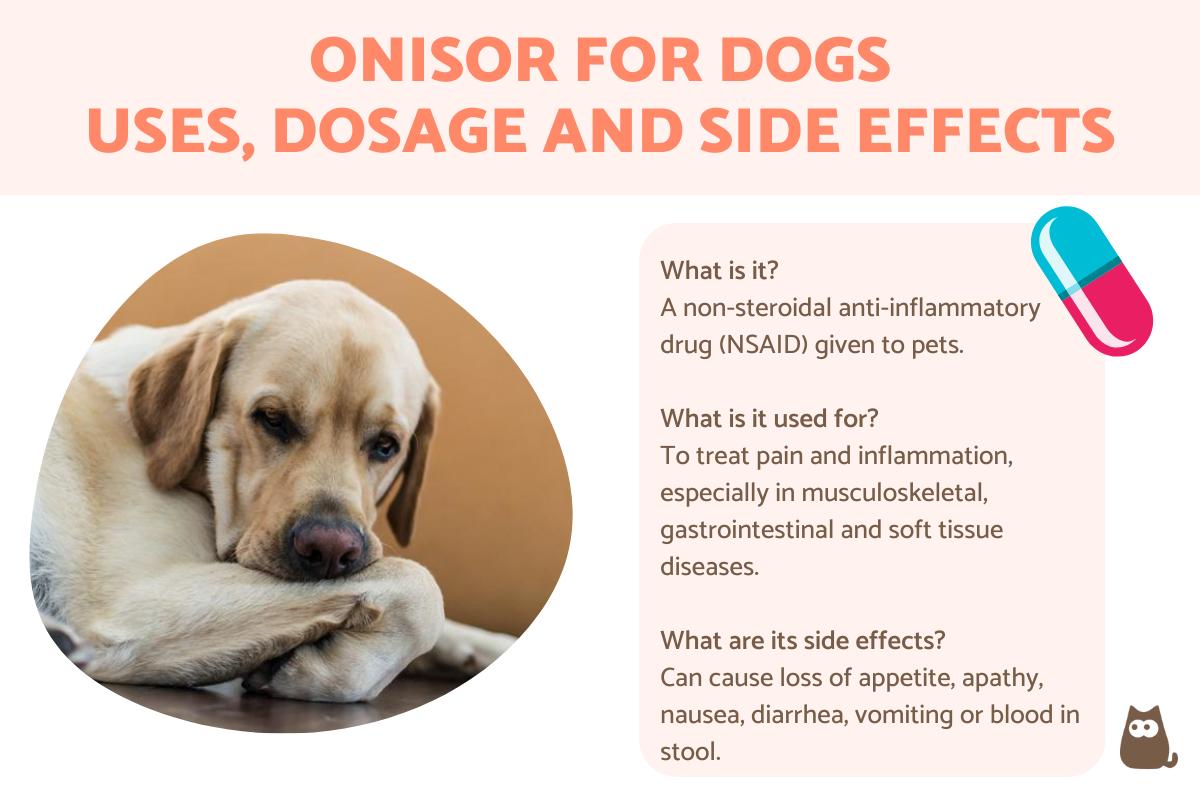 Onsior for Dogs - Robenacoxib Dosage, Uses and Side Effects