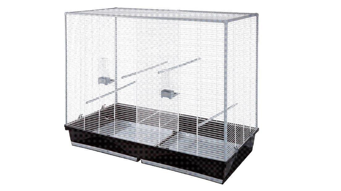 Caring for a Goldfinch: Basic Guidelines