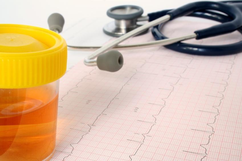 My Cat Is Bleeding From Her Private Area - Causes & Treatment