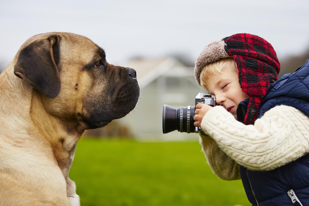 Taking Pictures of Dogs - 10 Tips & Tricks