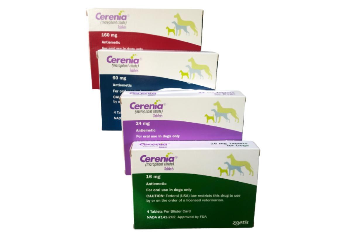 Cerenia for Dogs - Uses, Dosage and Side Effects of Maropitant