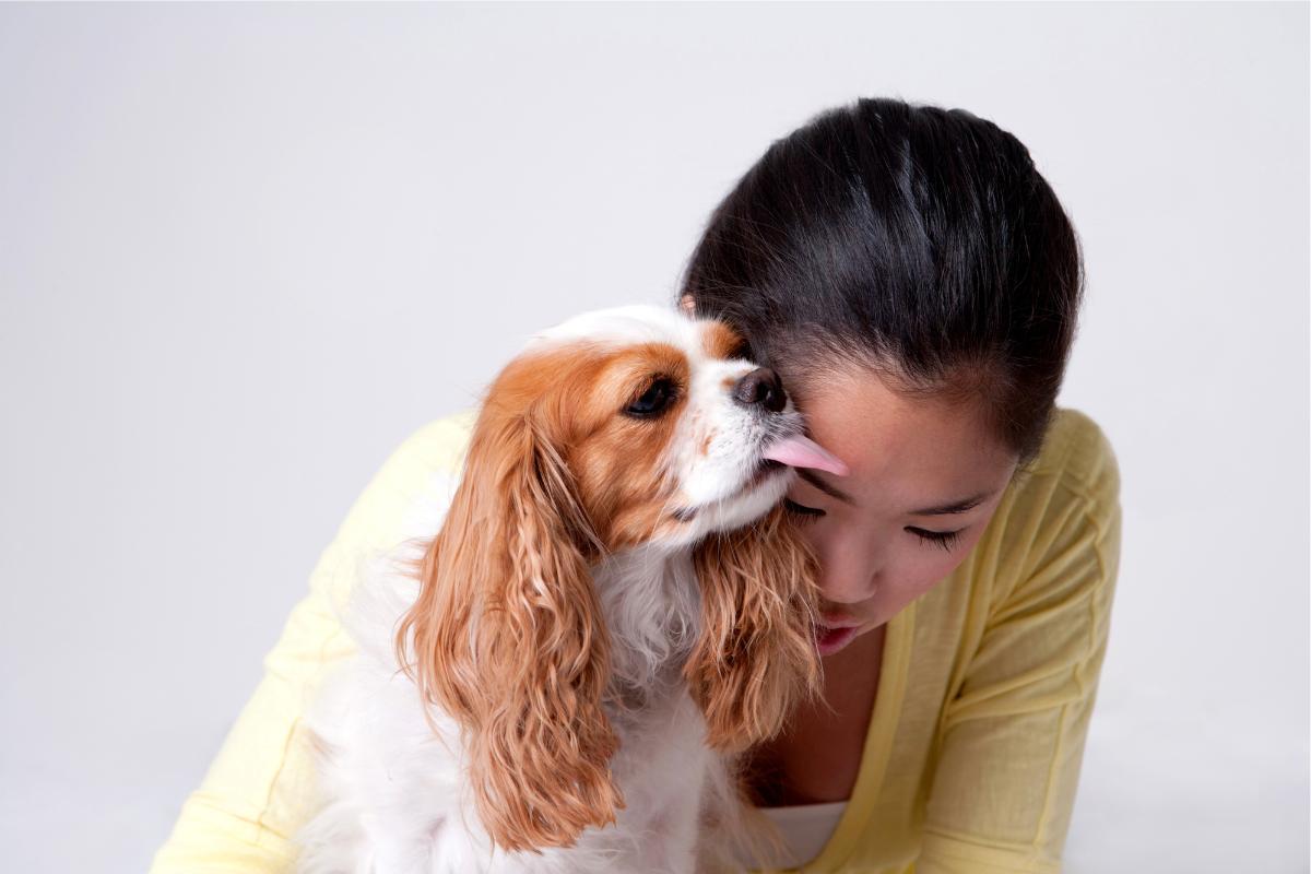 Do Dogs Think Humans Are Their Parents? - How Dogs See Humans