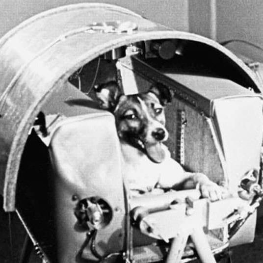 The Story of Laika: The First Dog in Space