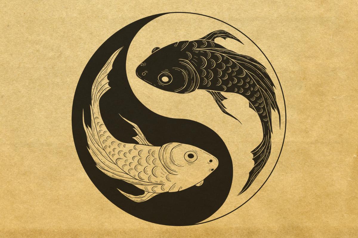 The Legend of the Koi Fish - What It Means in Chinese and Japanese Folklore
