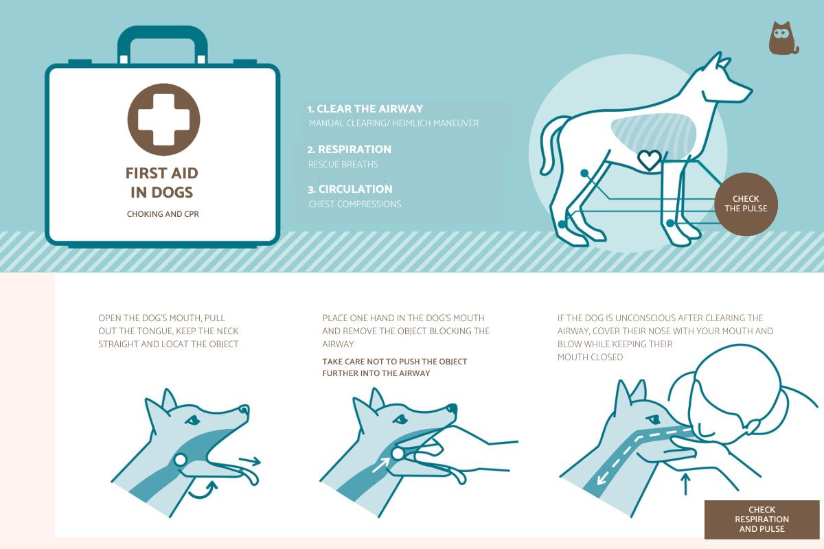 How to Give a Dog the Heimlich Maneuver When Choking - With Diagrams