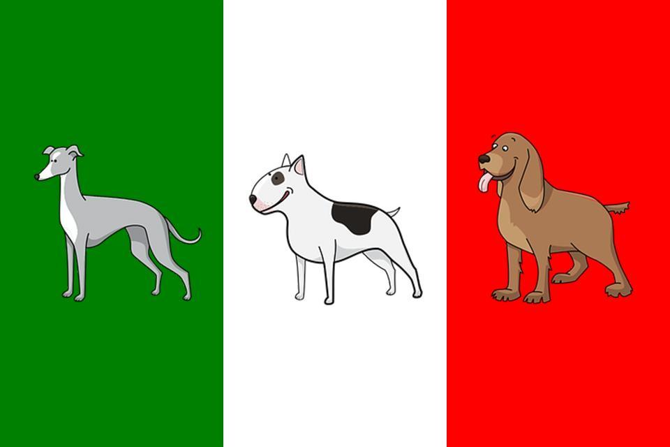 Italian dog names- Male & Female- More than 140 Ideas!