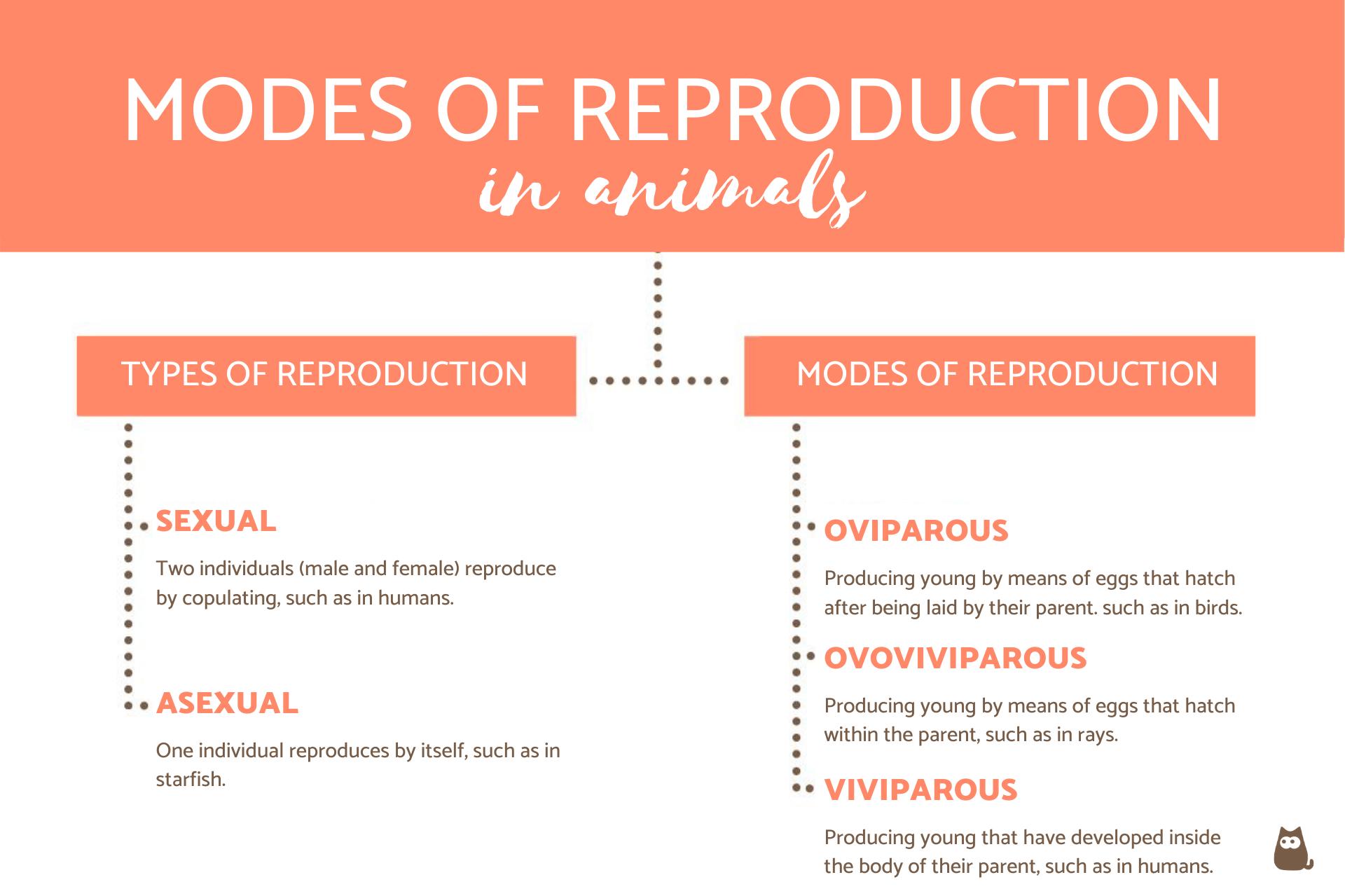 Modes of Reproduction in Animals - Viviparity, Oviparity and Ovoviviparity Examples