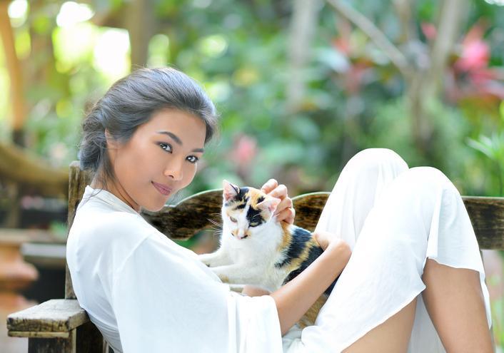 Korean Cat Names - 100+ Male and Female Korean Names for Cats (With ...