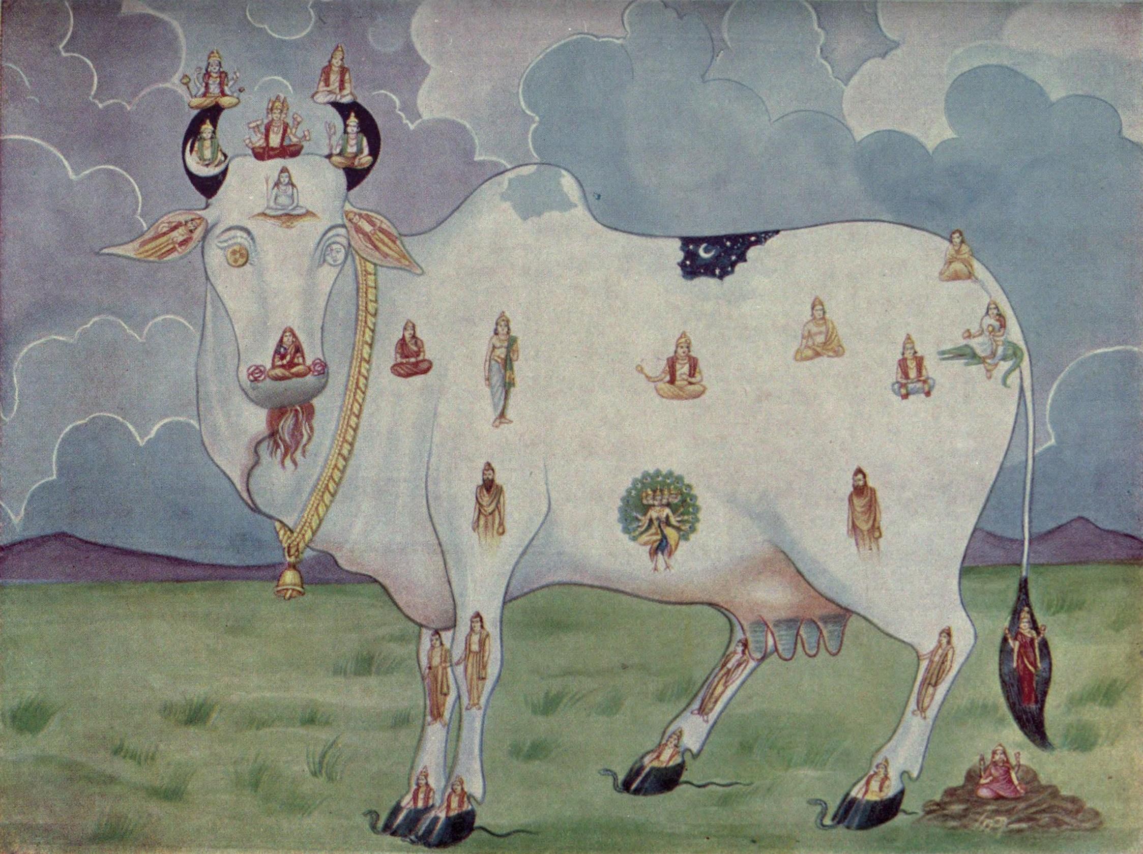 What is the Story of the Kamadhenu Cow?
