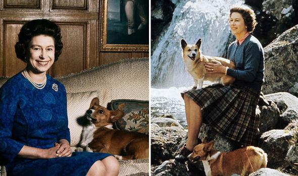 What Are the Queen's Corgis Called? All About Elizabeth II's Dogs
