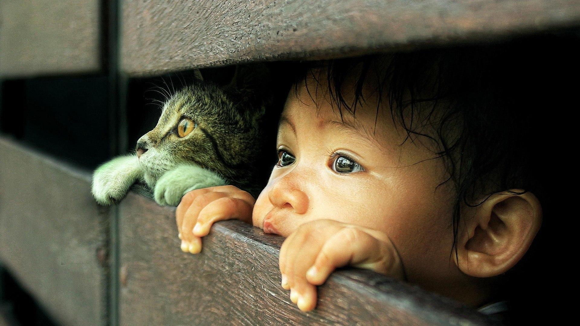 Benefits of Having a Cat for Children - Why Cats Are Good for Kids